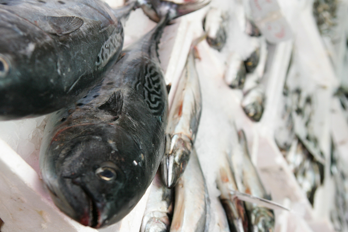 Cómo elegir un buen pescado :: SMARTFOOD